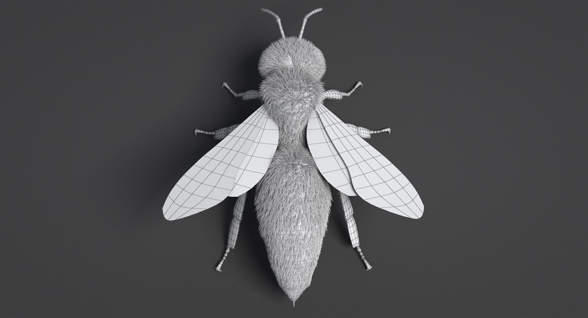 3D realistic bee real - TurboSquid 1375206