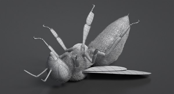 3D realistic bee real - TurboSquid 1375206