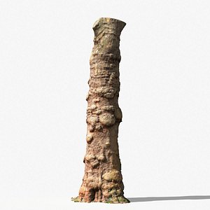 Tree Stump 3D Models for Download | TurboSquid