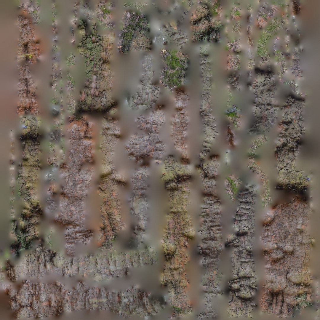 Max Platanus Tree Stem