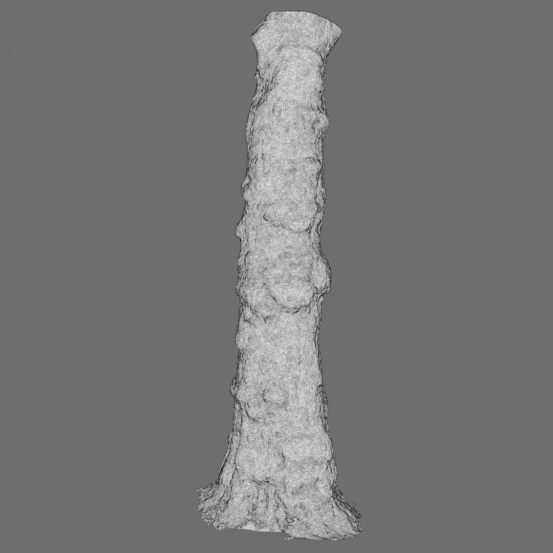 Max Platanus Tree Stem