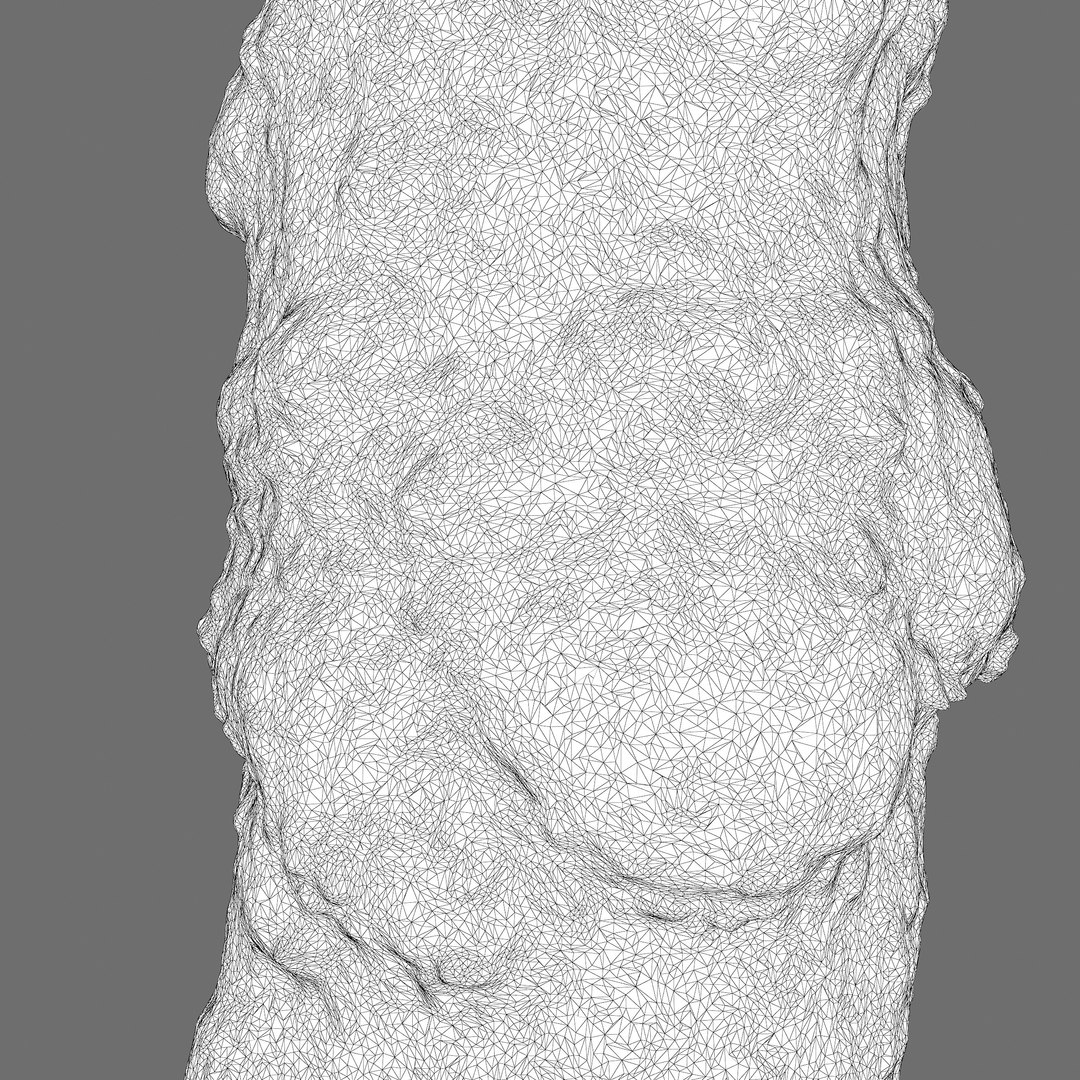 Max Platanus Tree Stem