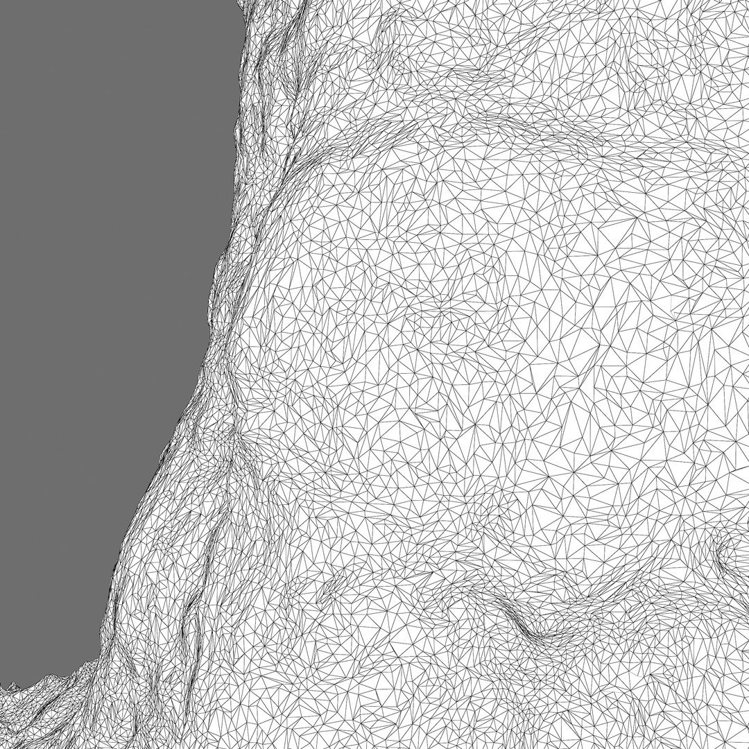 Max Platanus Tree Stem