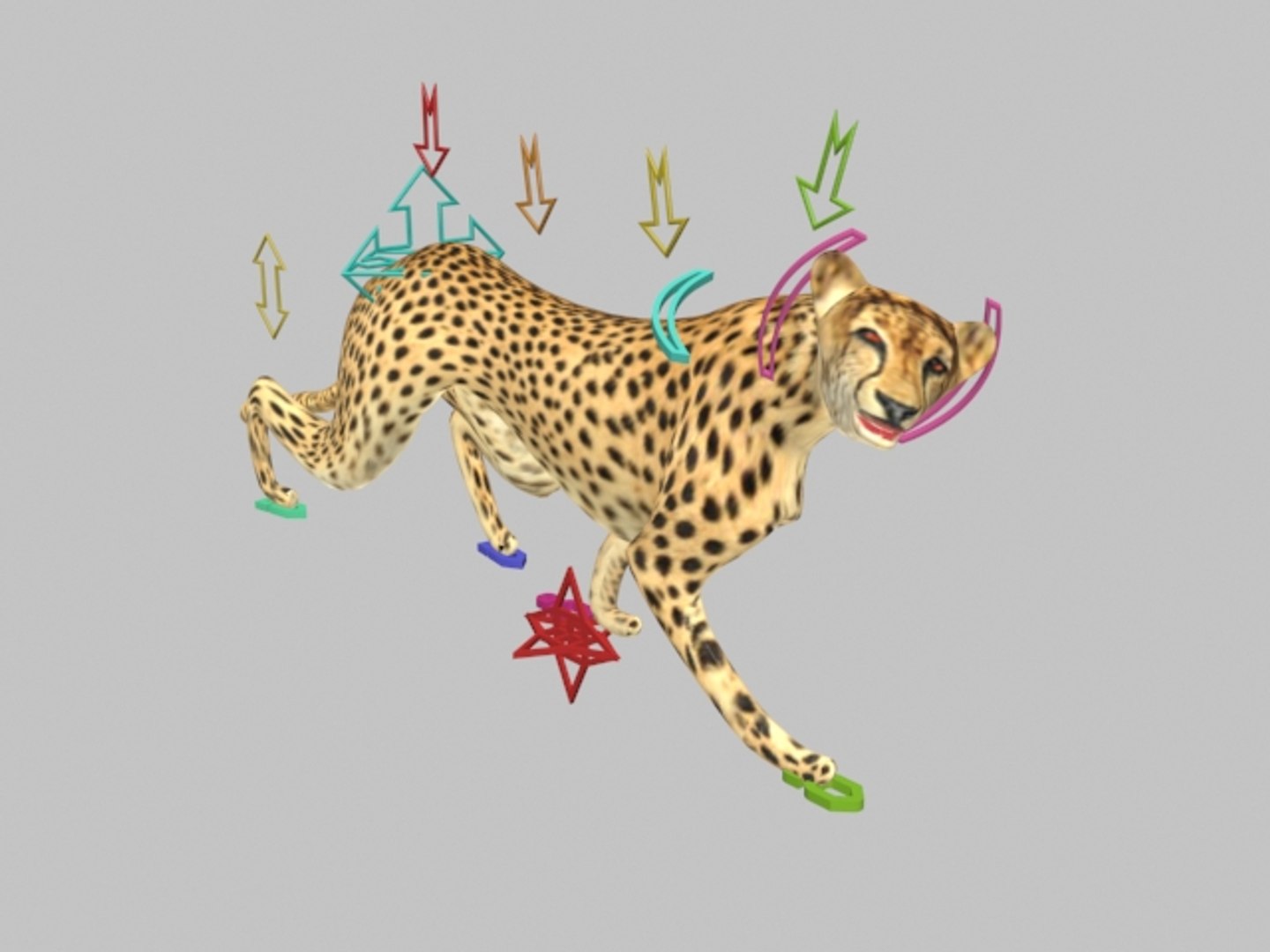 Max Rigging Skinning