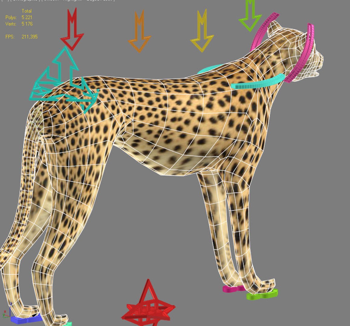 Max Rigging Skinning