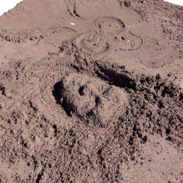 photogrammetry scanned beach sand 3d model