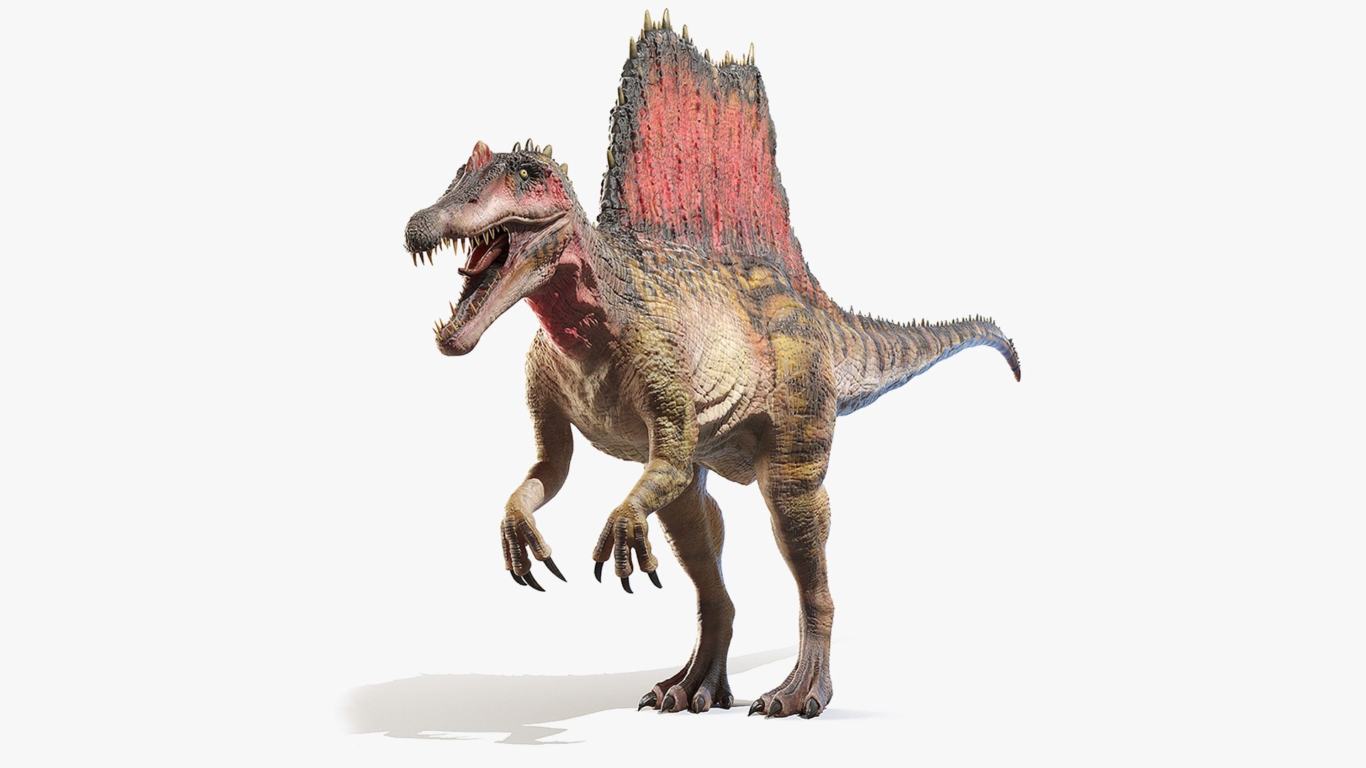 3d spinosaurus