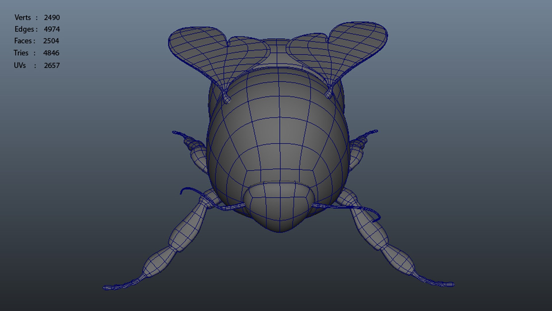 Maya Bees Insects Honey