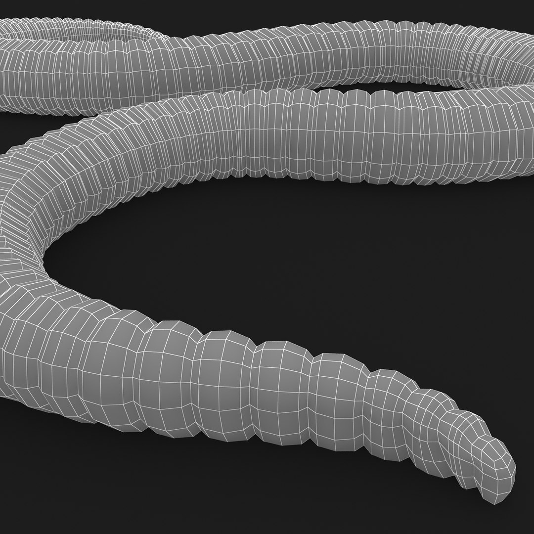 Worm Blue 3d 3ds