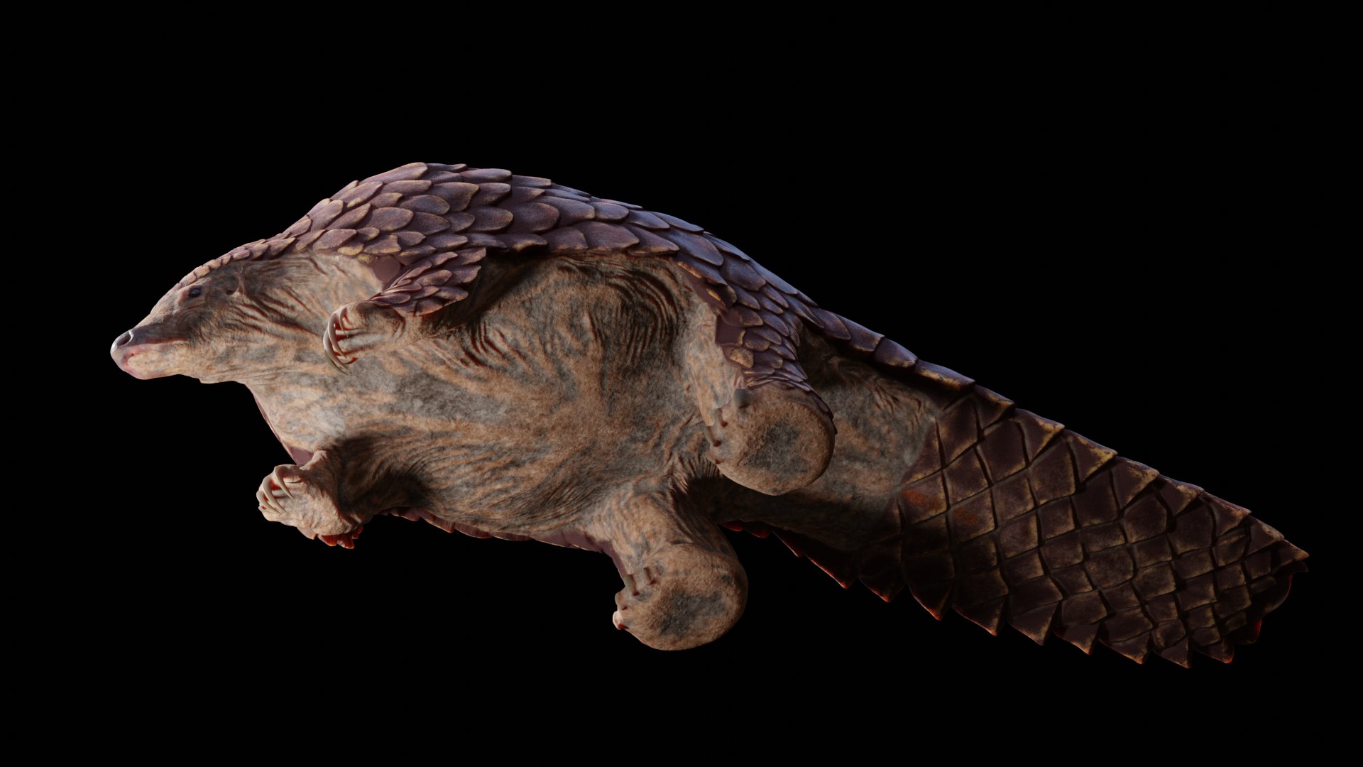 3D Pangolin Rigged Model - TurboSquid 1615929
