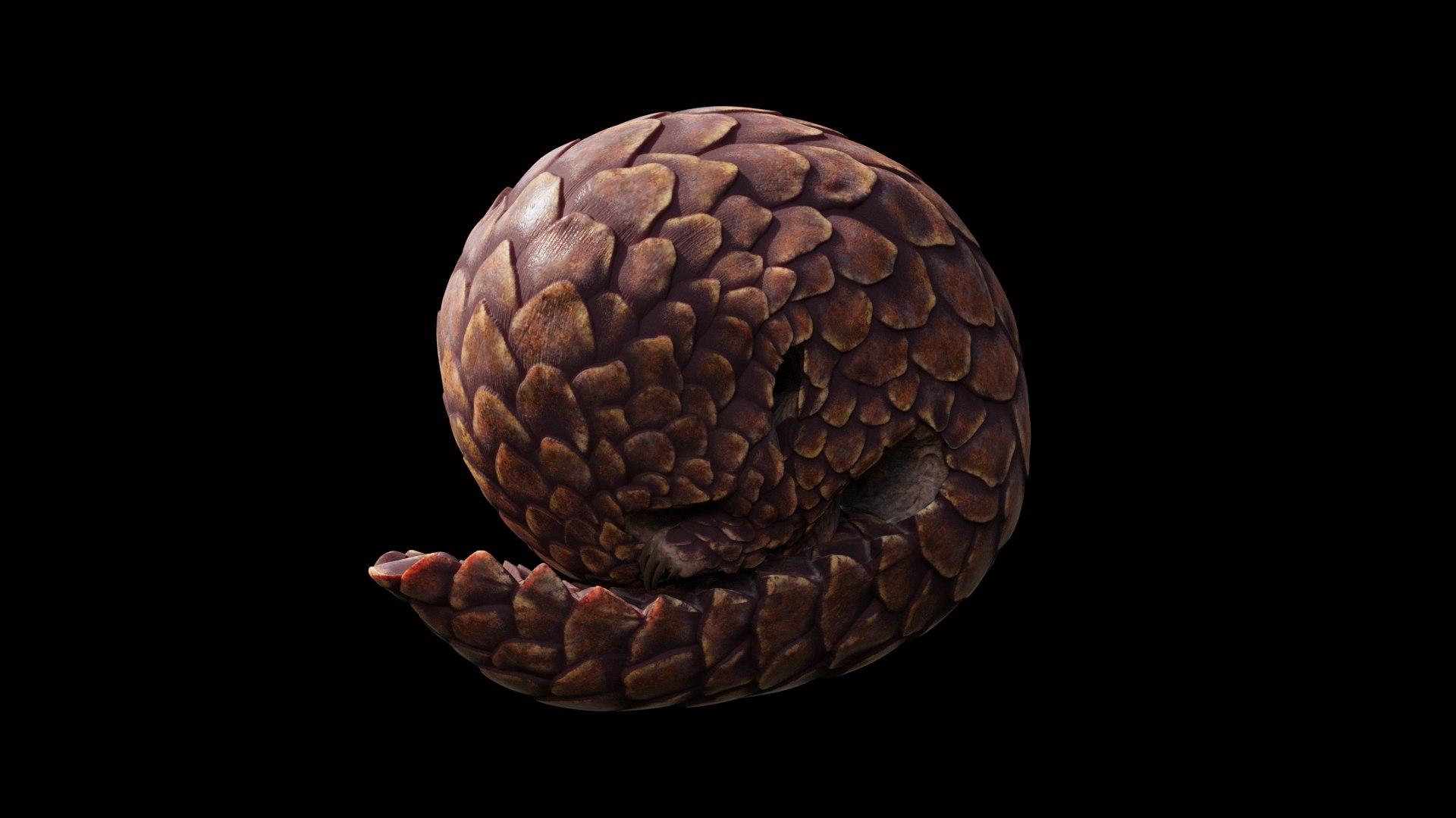 3D Pangolin Rigged Model - TurboSquid 1615929
