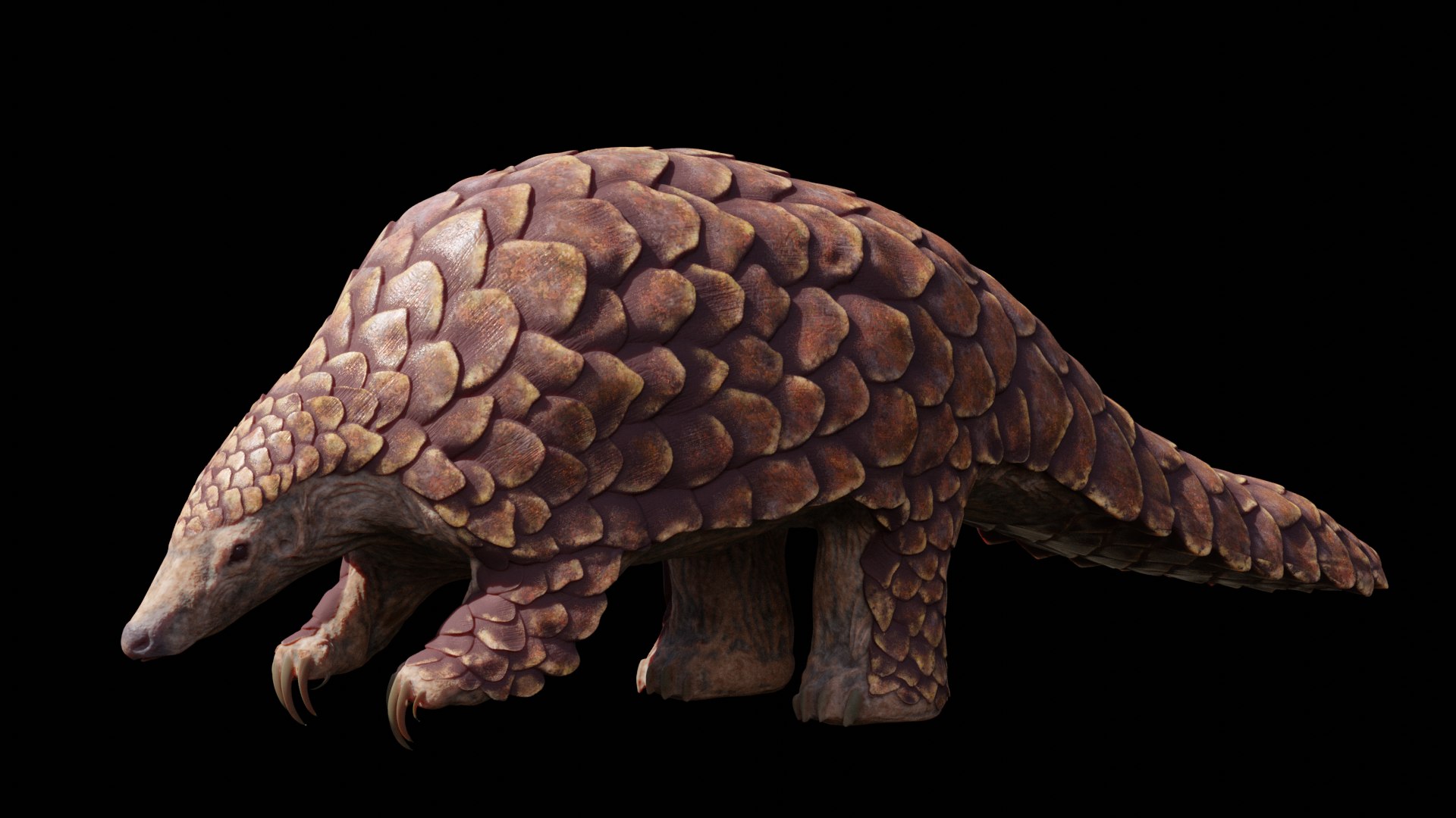 3D Pangolin Rigged Model - TurboSquid 1615929
