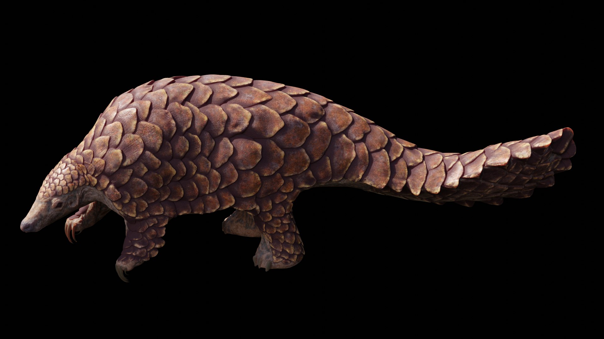 3D Pangolin Rigged Model - TurboSquid 1615929