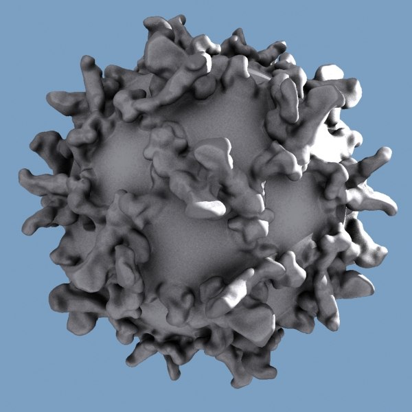 3d reovirus