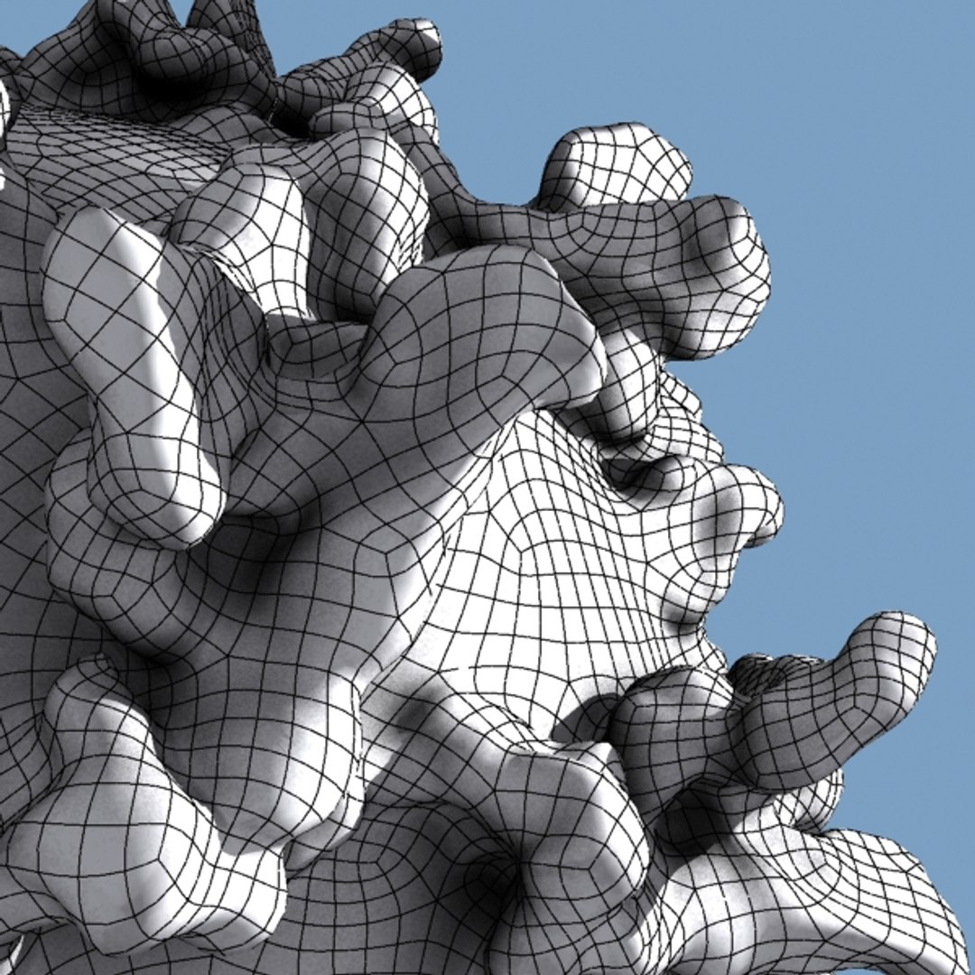 3d reovirus