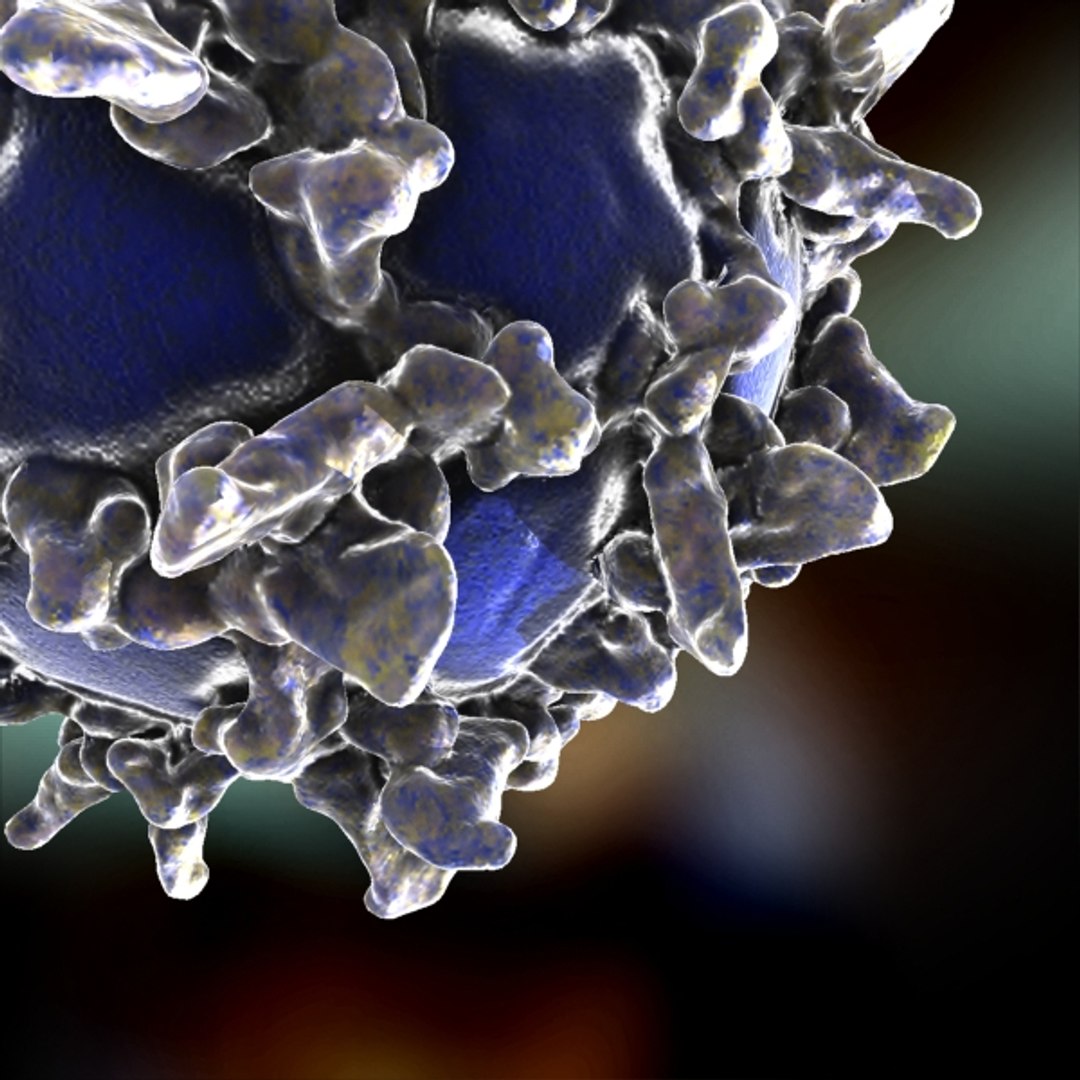 3d reovirus
