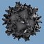 3d reovirus