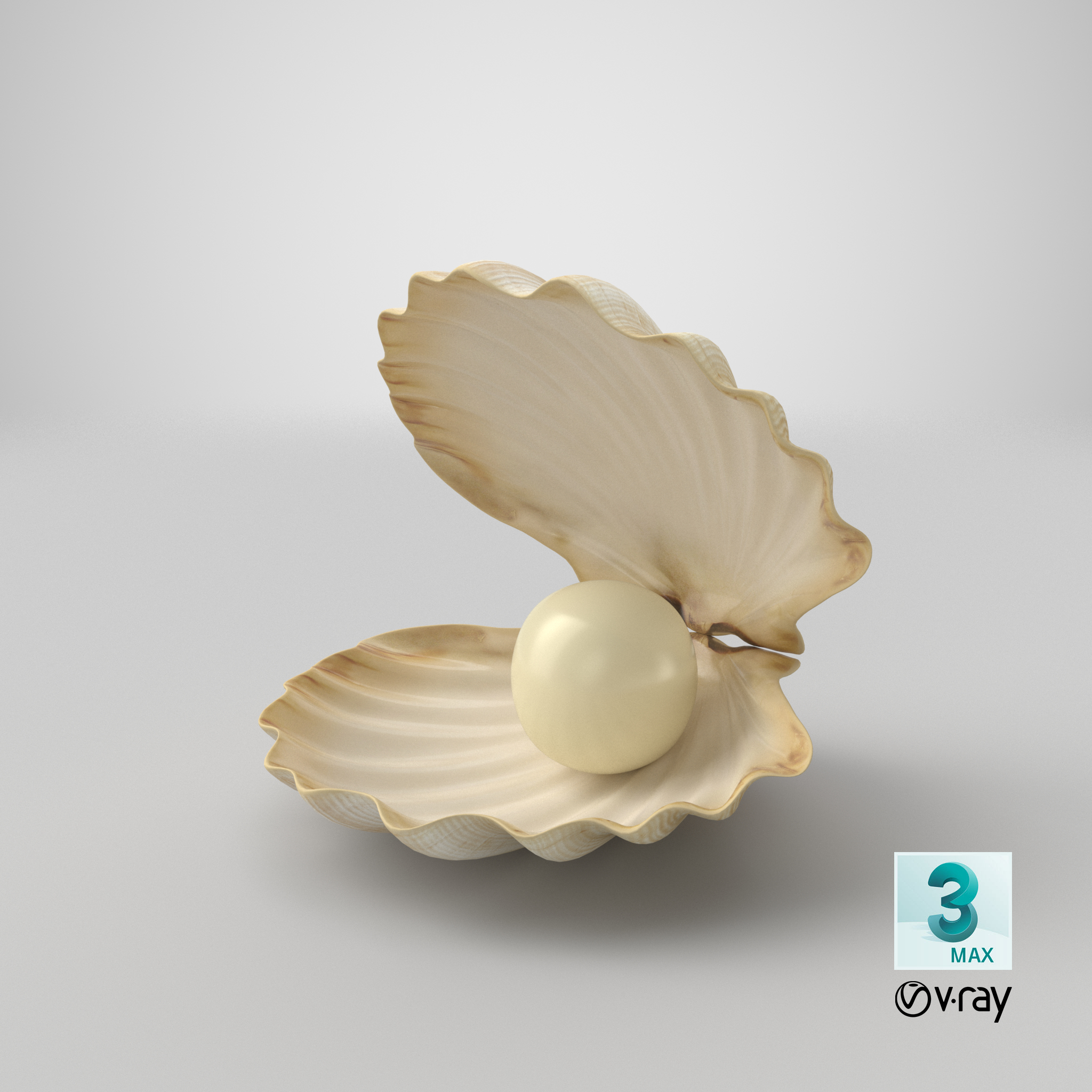 Sea shell pearl 3D model - TurboSquid 1242132