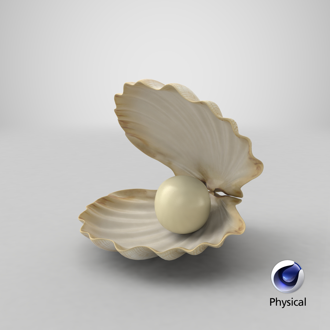 Sea shell pearl 3D model - TurboSquid 1242132