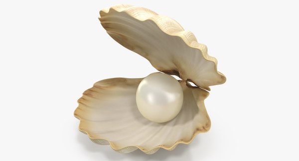 Sea shell pearl 3D model - TurboSquid 1242132