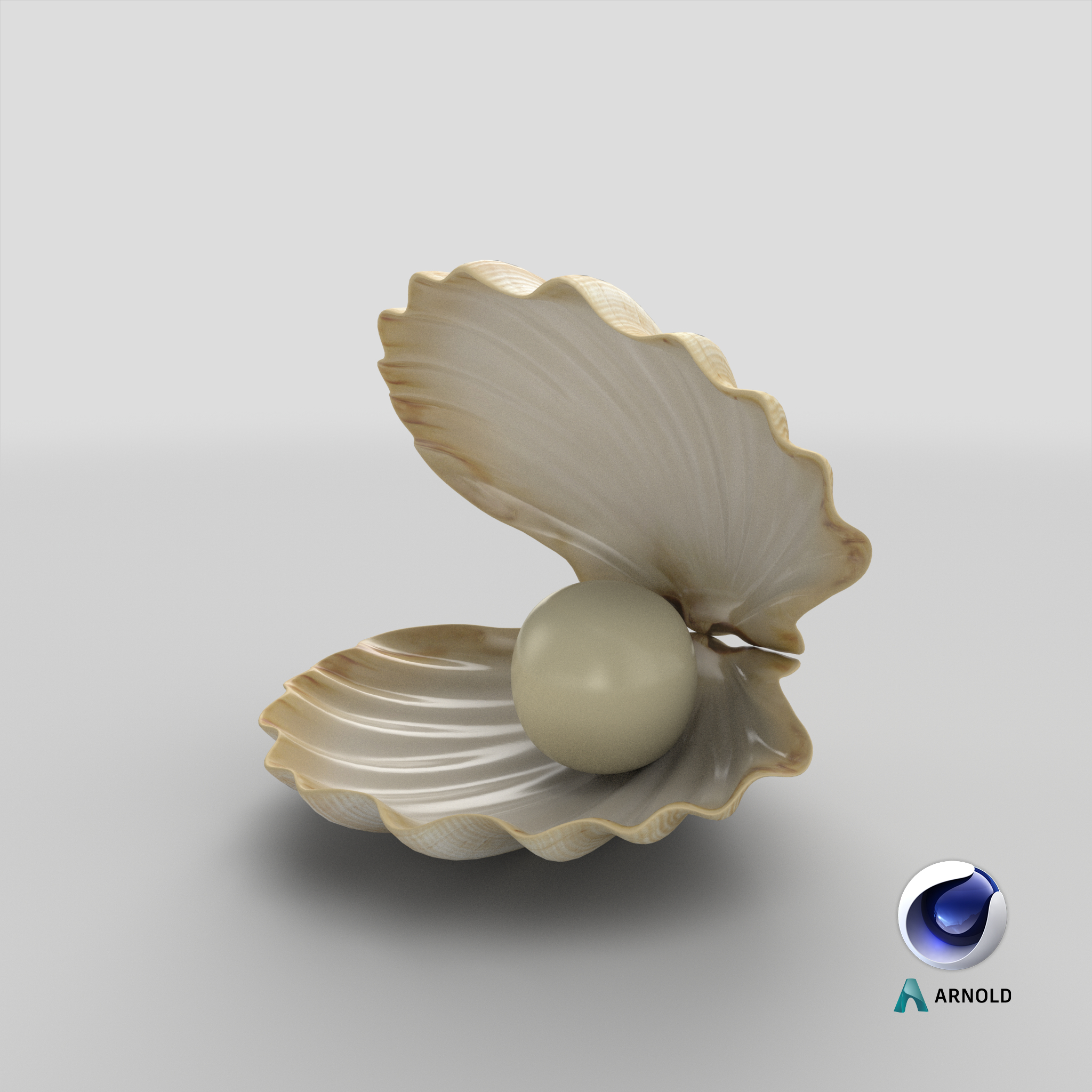 Sea shell pearl 3D model - TurboSquid 1242132