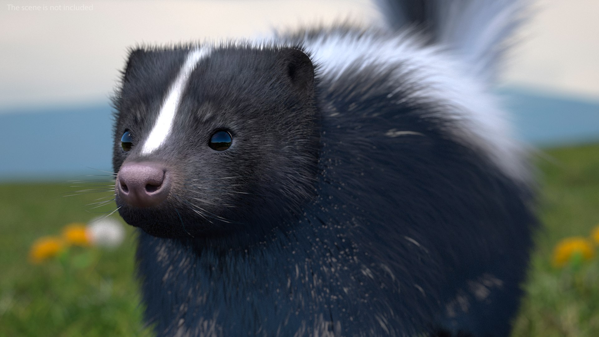 3D Model Animal Skunk Fur Rigged - TurboSquid 2108929