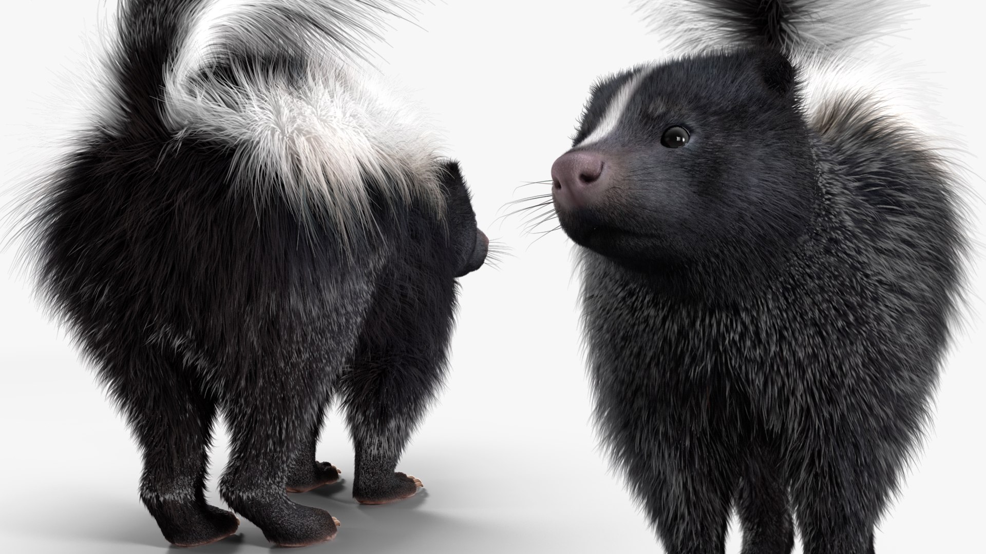 3D model Animal Skunk Fur Rigged - TurboSquid 2108929