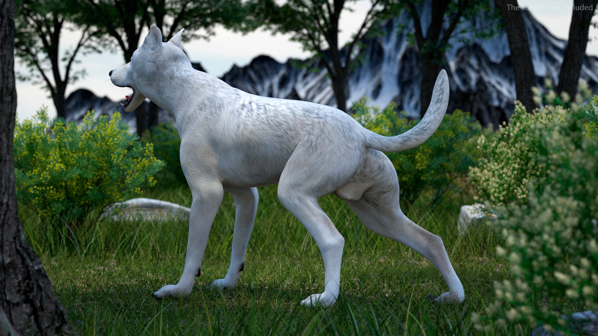 White Wolf Rigged For Cinema 4D 3D - TurboSquid 2250127