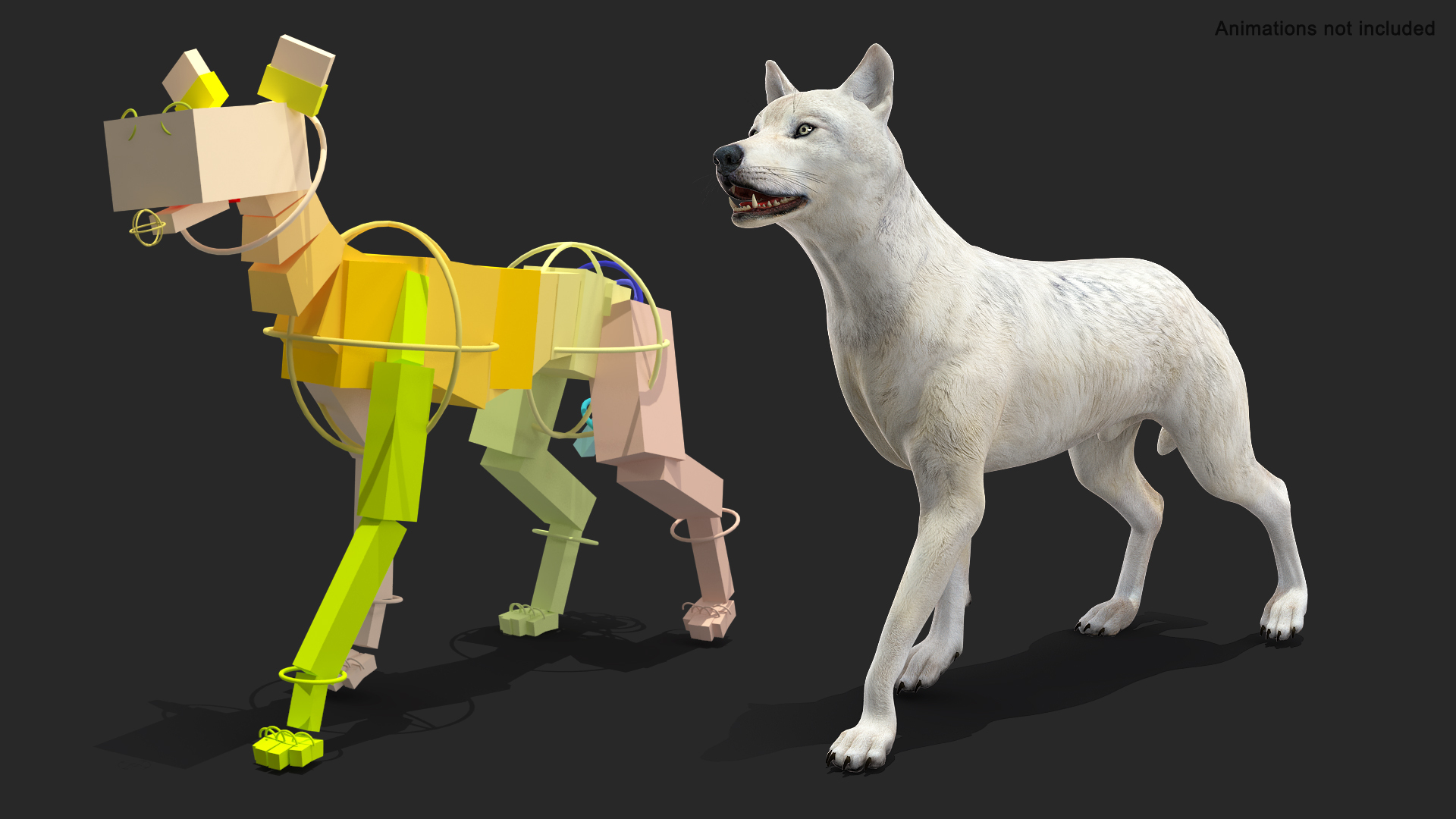 White Wolf Rigged For Cinema 4D 3D - TurboSquid 2250127