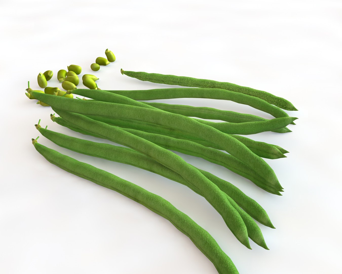 3D Beans - TurboSquid 1544530