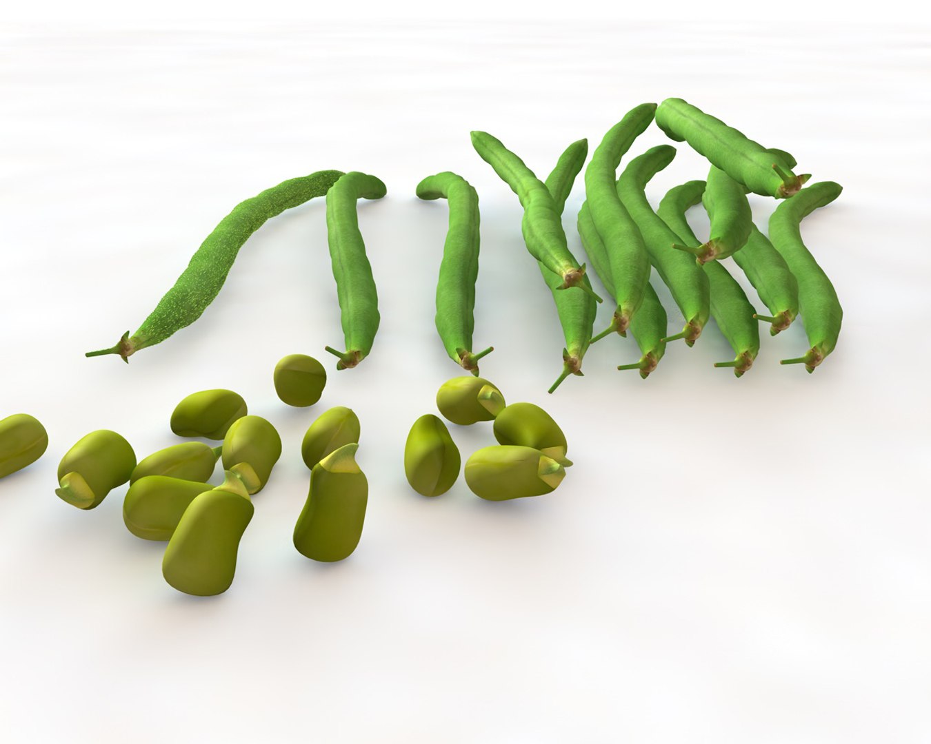 3D Beans - TurboSquid 1544530