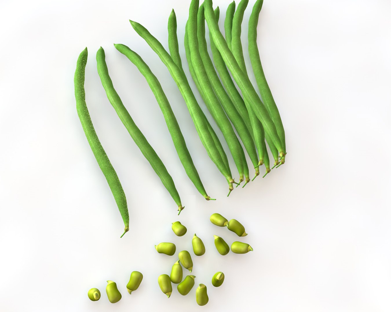 3D Beans - TurboSquid 1544530