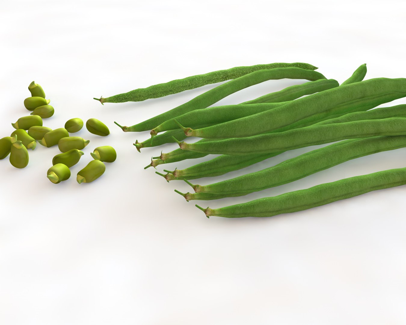 3D Beans - TurboSquid 1544530