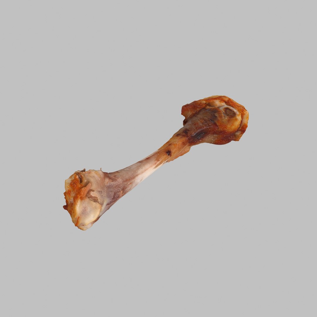 3d Chicken Leg Bone Model