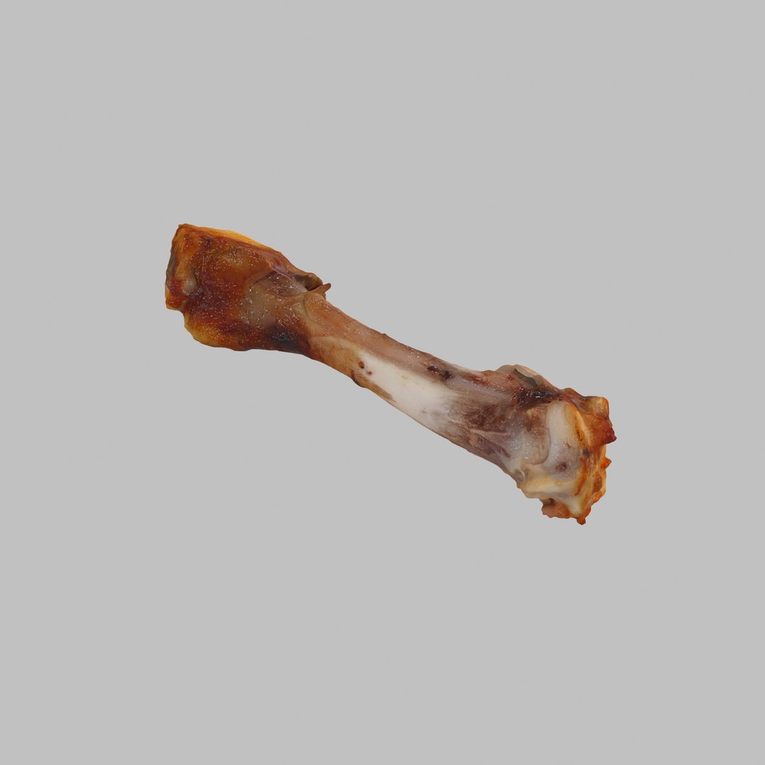3d Chicken Leg Bone Model