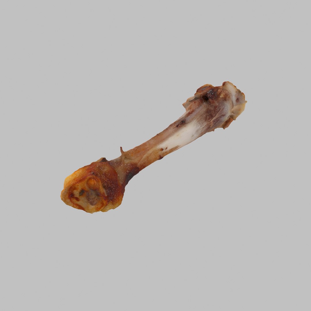 3d Chicken Leg Bone Model