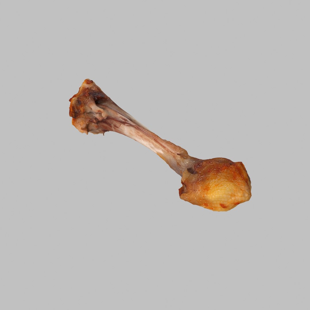 3d Chicken Leg Bone Model