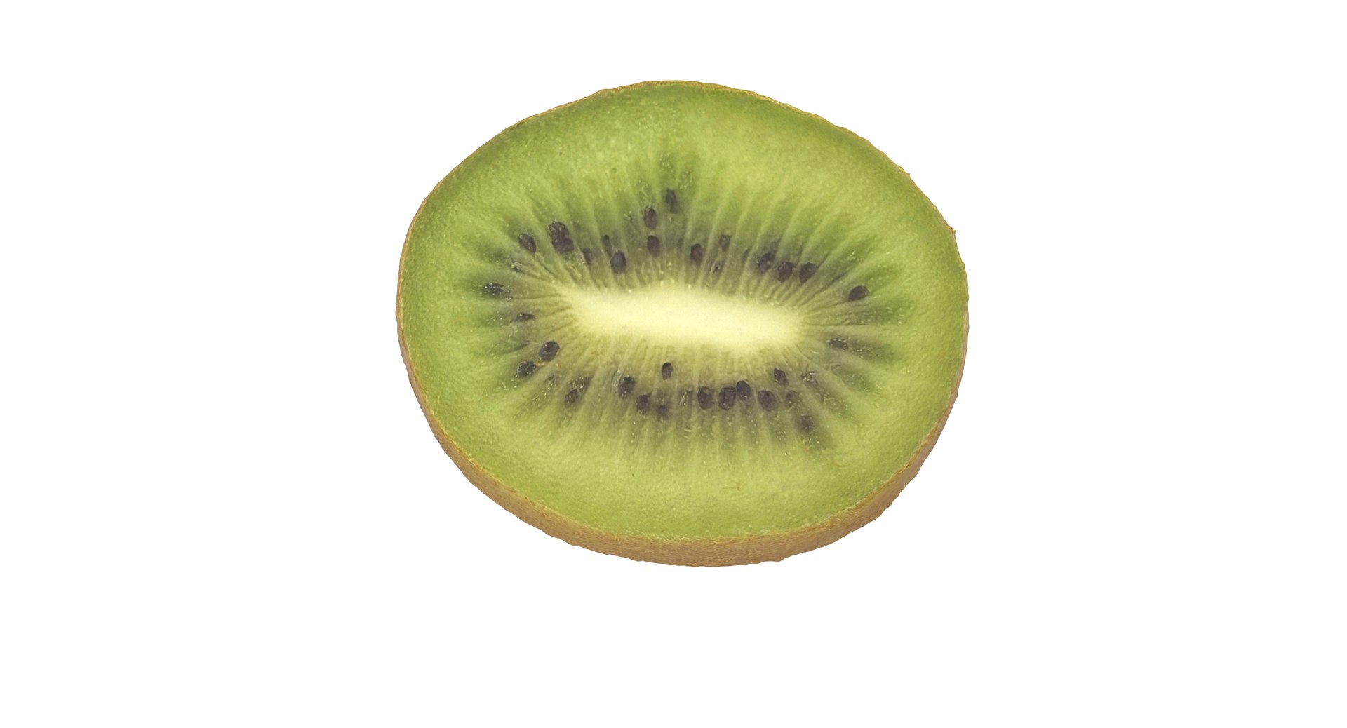 Half Of Kiwi 3D Model - TurboSquid 2367006