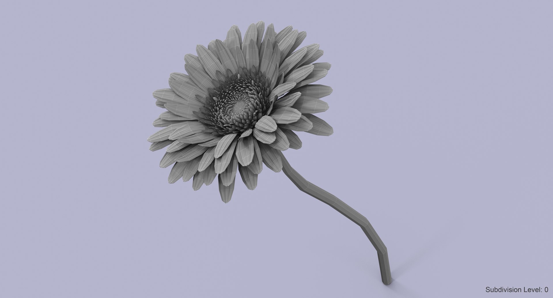 Gerbera Petal 3d Model