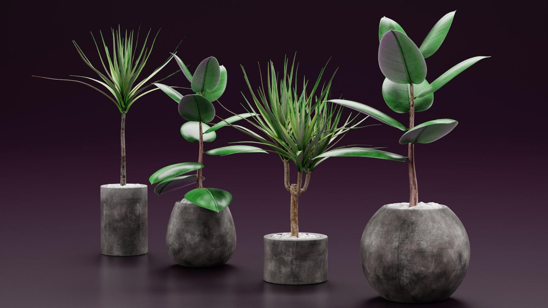 3D Home Plants - TurboSquid 1894016