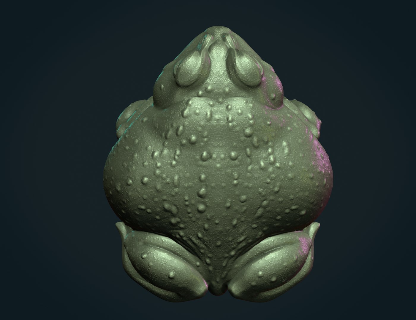 3D Model Toad - TurboSquid 1905459