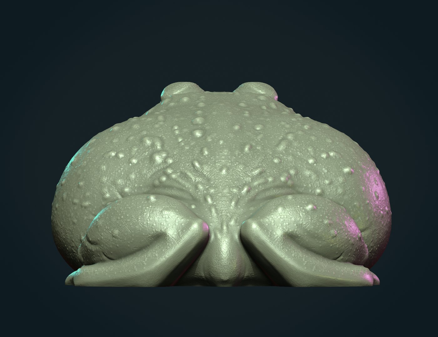 3D Model Toad - TurboSquid 1905459