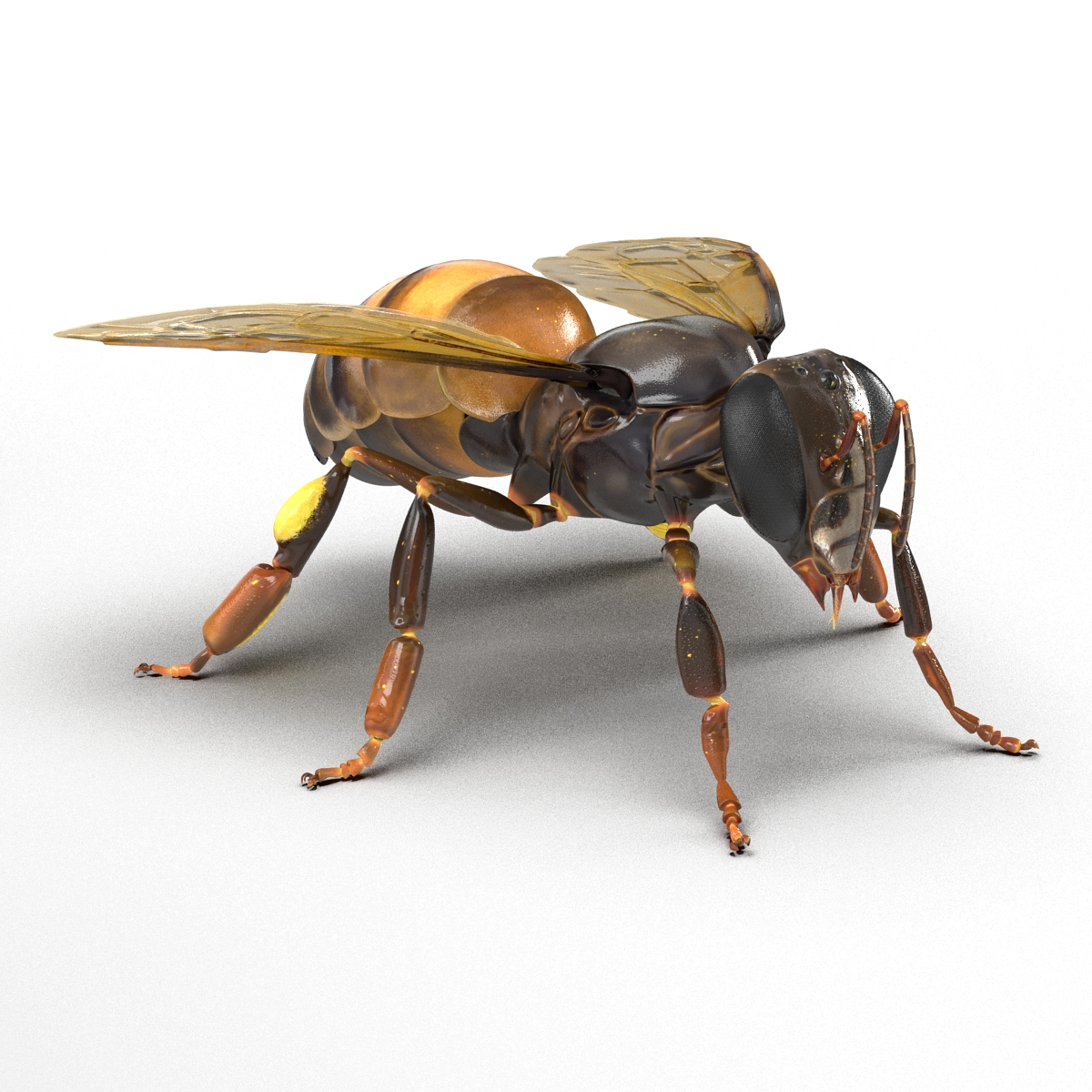 honey bee rigged 3d model