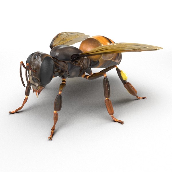 honey bee rigged 3d model