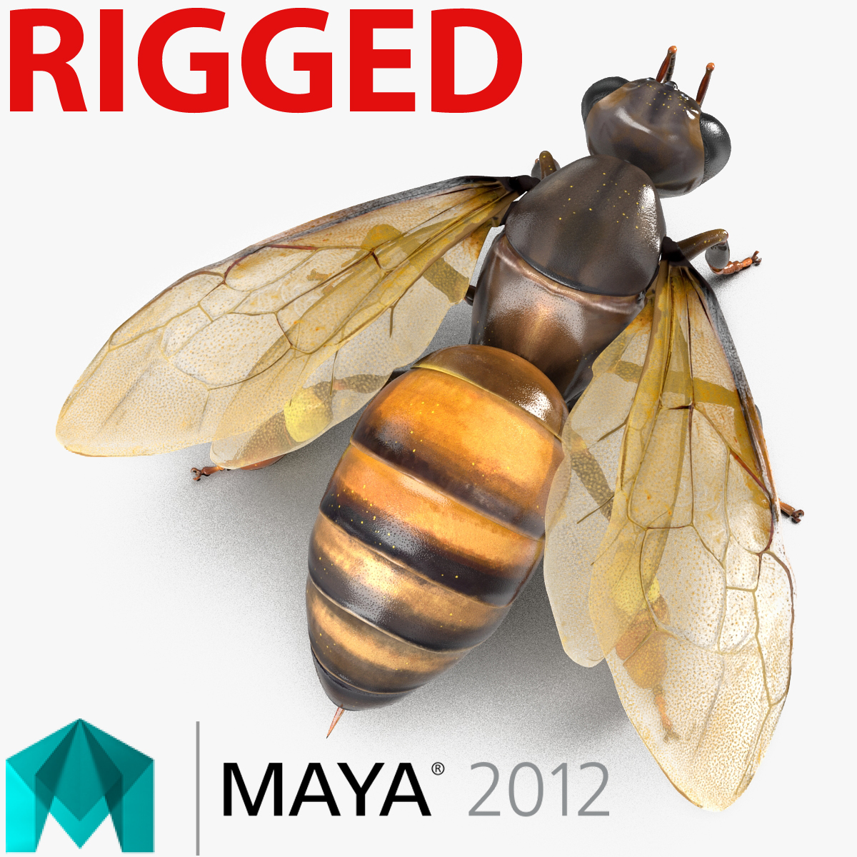 honey bee rigged 3d model