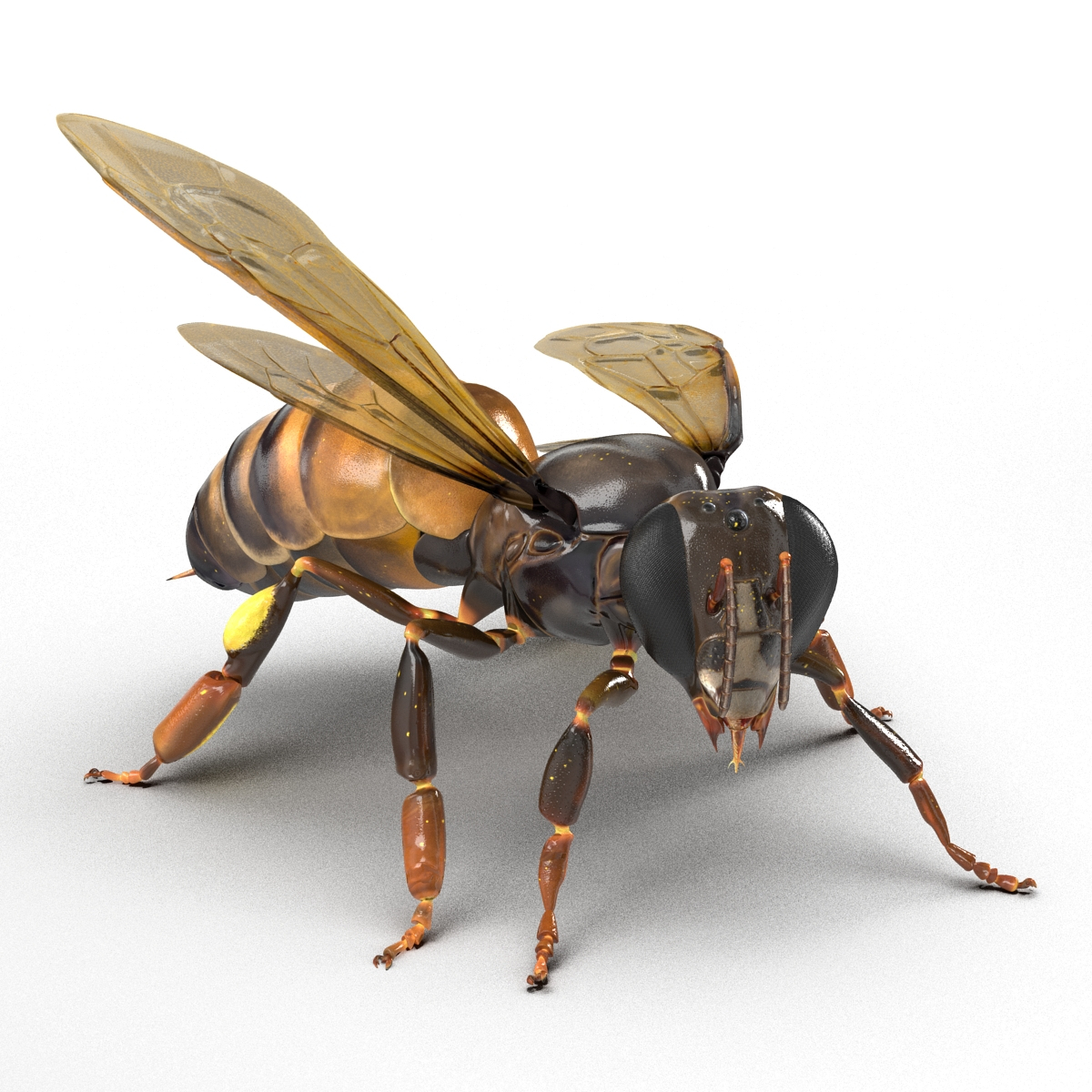 honey bee rigged 3d model