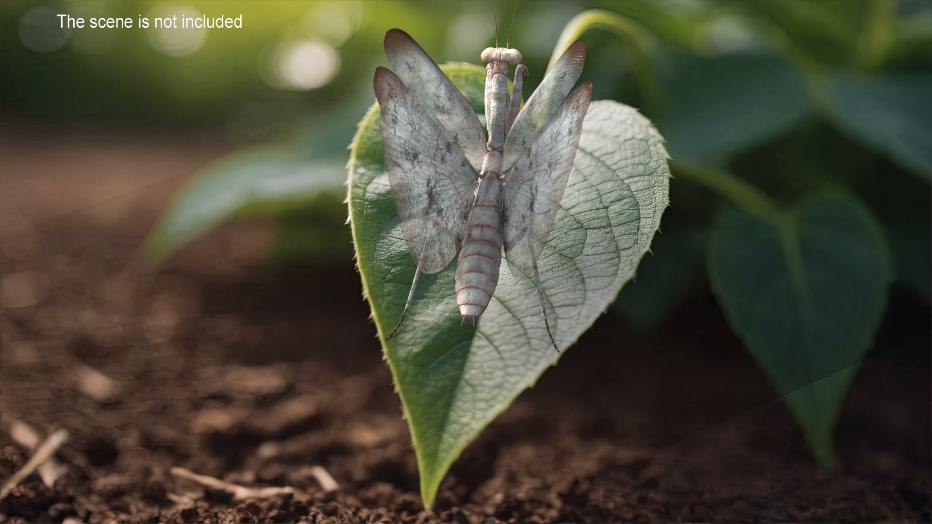 Praying Mantis Insect Fur 3D Model - TurboSquid 2218398