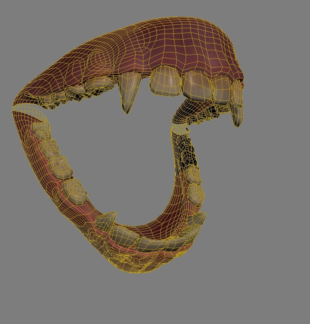 3d Chimpanzee Facial Morph Model