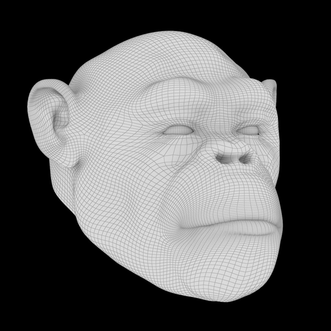 3d Chimpanzee Facial Morph Model