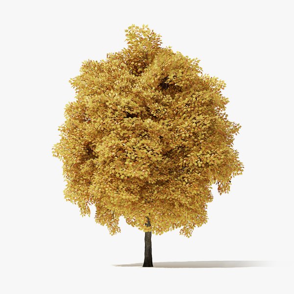 3D autumn norway maple tree model - TurboSquid 1478800
